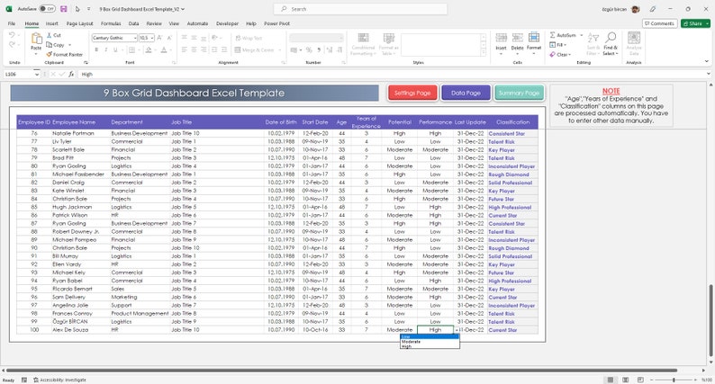 Plantilla Excel 9 Box Grid Dashboard / 9 Box Grid Gestión de - Etsy España