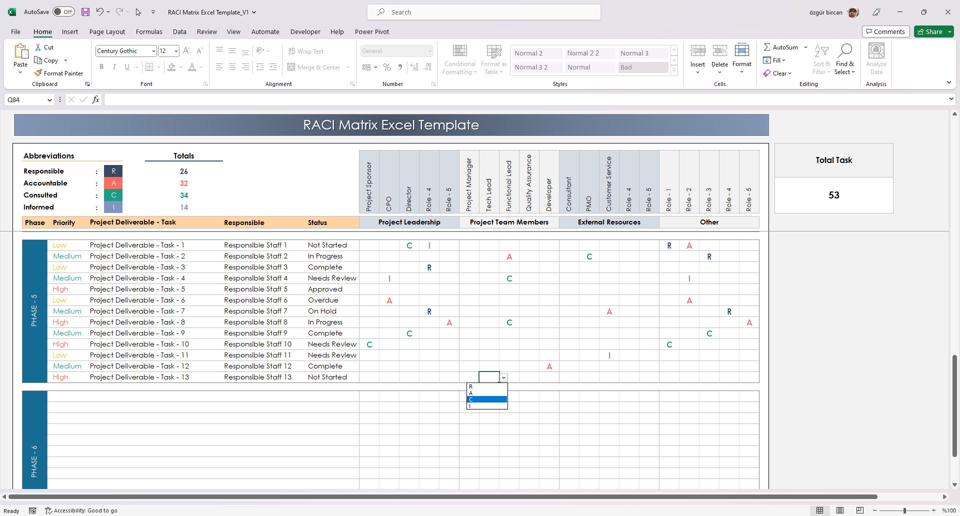 Plantilla de Excel de Matriz RACI / Plantilla de Matriz de - Etsy México