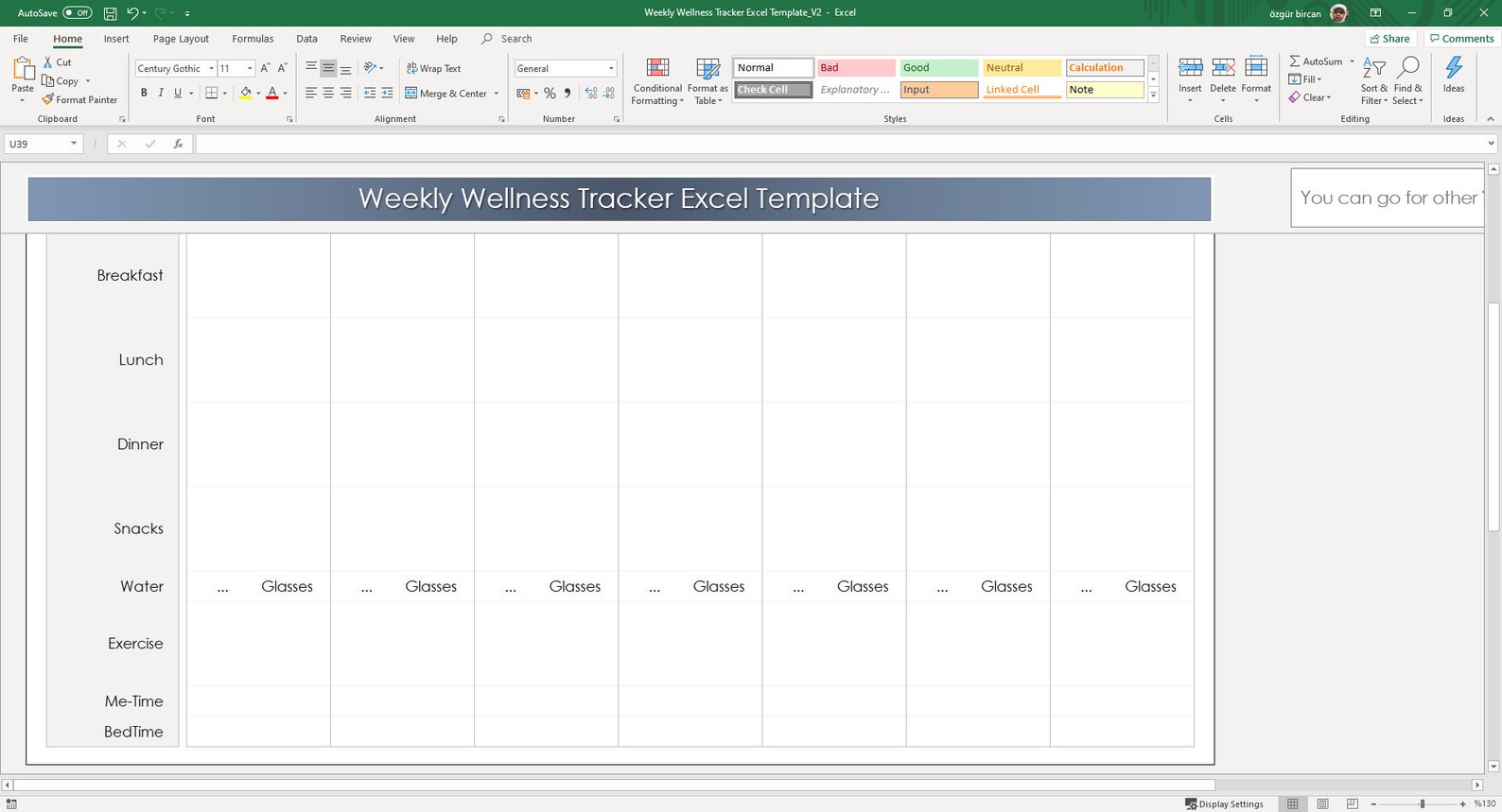 Weekly Wellness Tracker Excel Template Notability Planner - Etsy