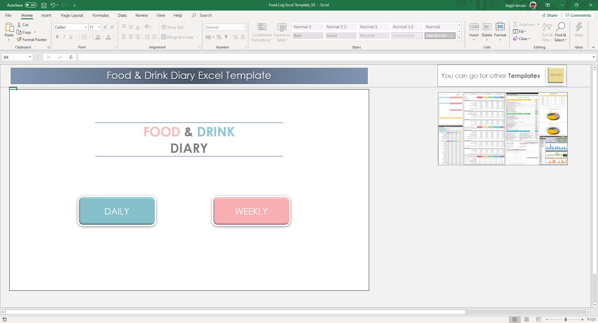 Food & Drink Diary Excel Template Food Journal Diary Drink - Etsy UK