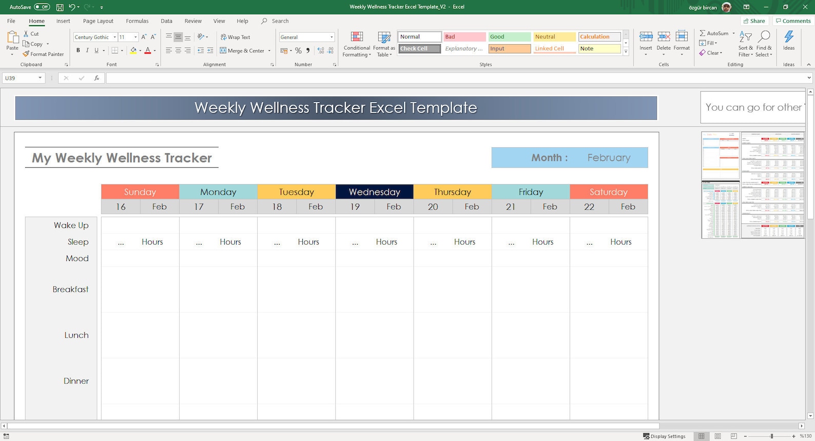 Weekly Wellness Tracker Excel Template Notability Planner - Etsy
