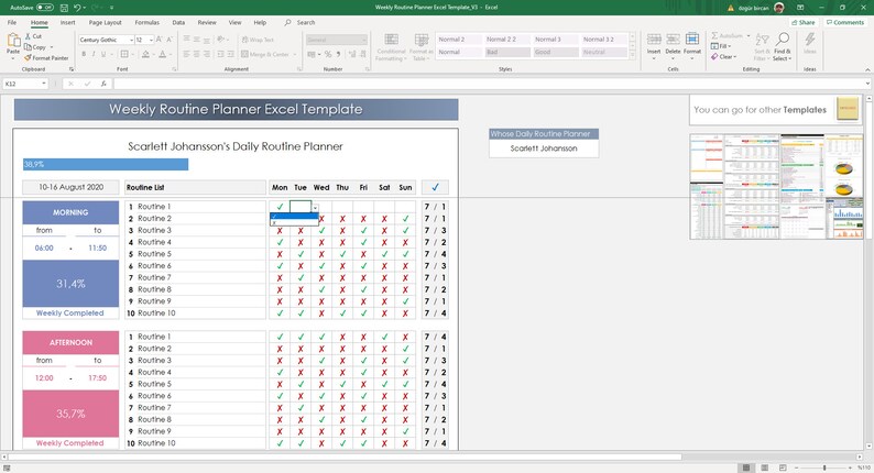 Daily Weekly Yearly Routine Planner Excel Template Excel - Etsy