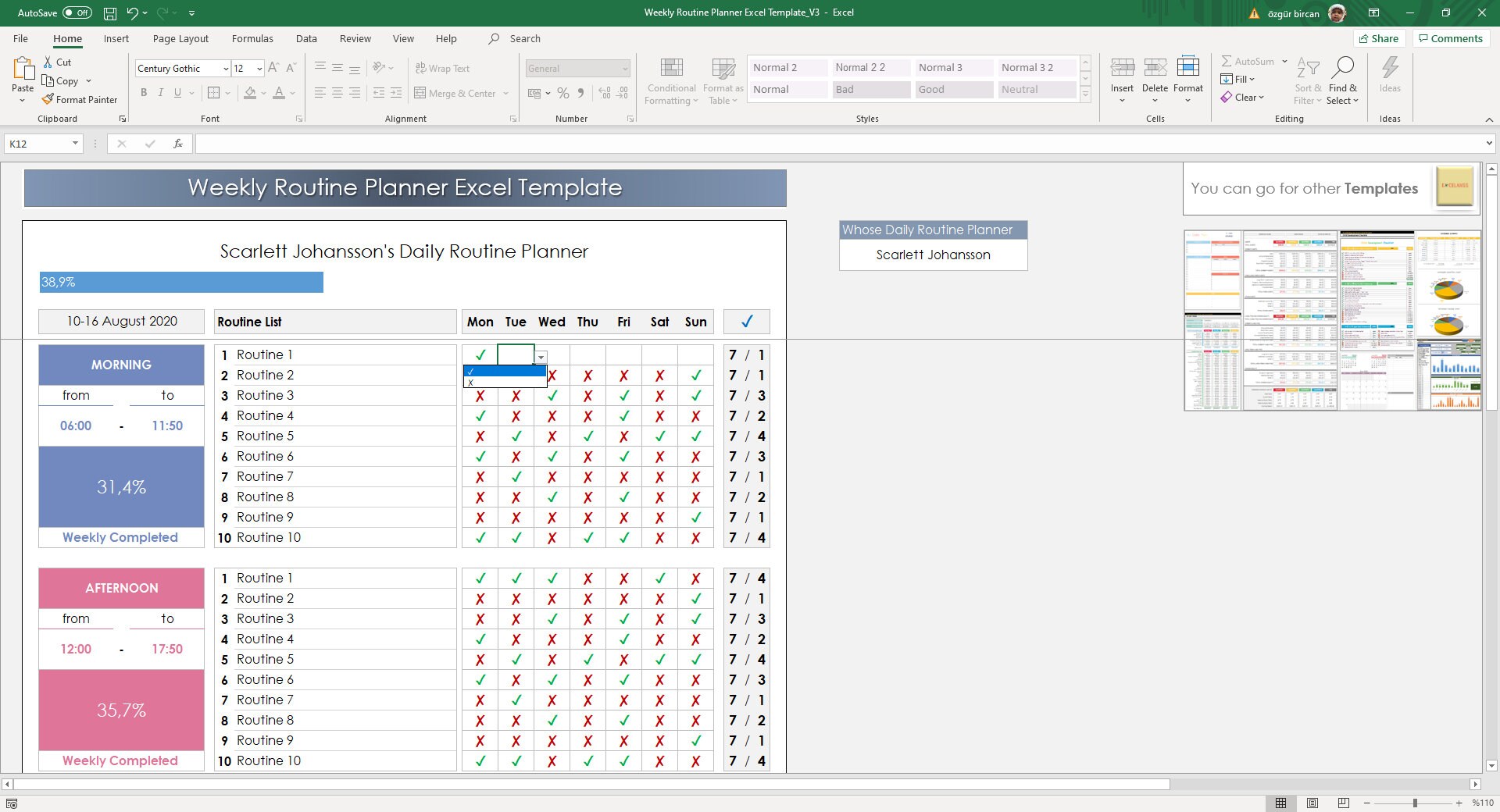 Daily Weekly Yearly Routine Planner Excel Template Excel | Etsy