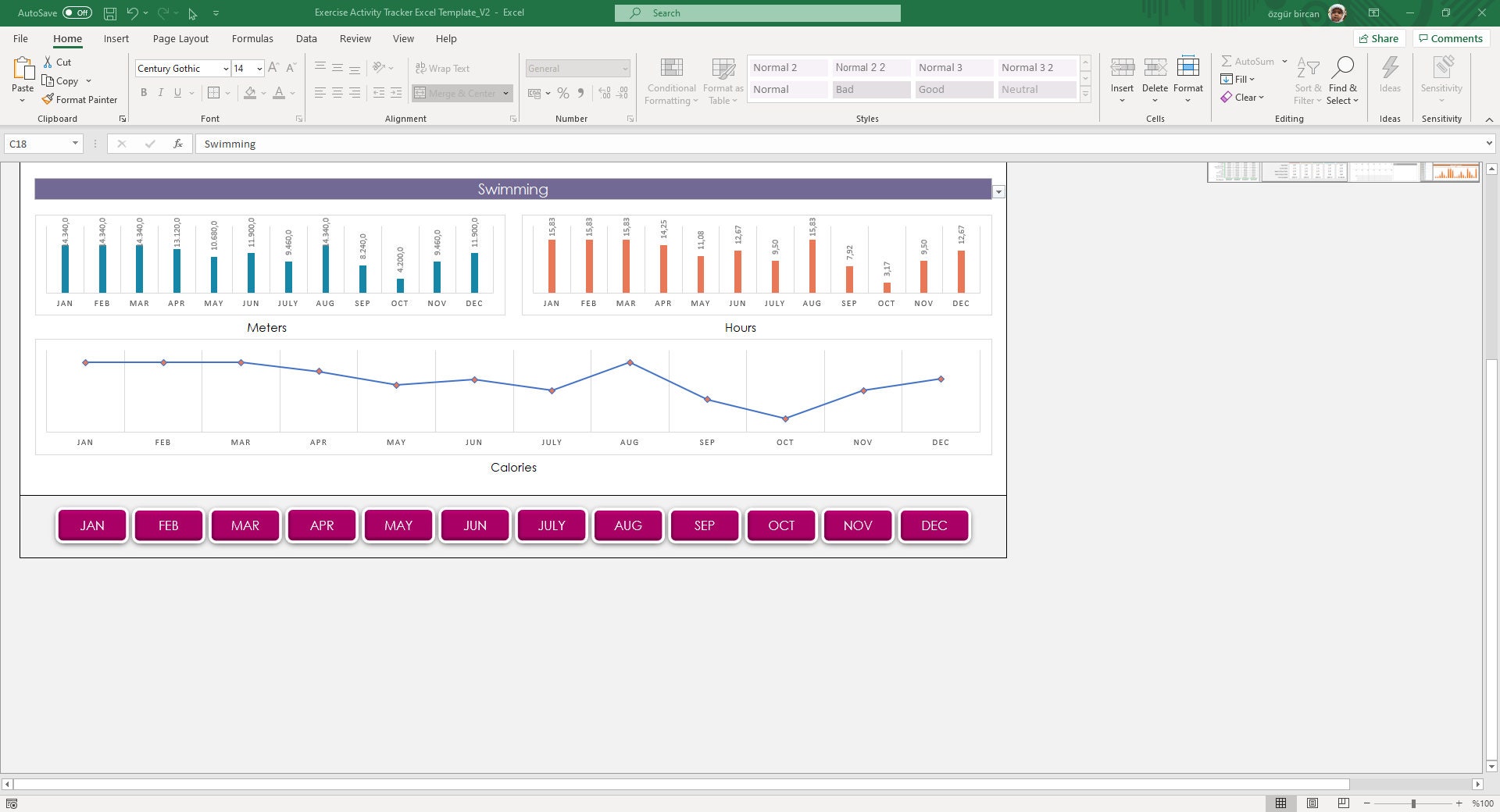 Exercise Activity Tracker Excel Template Workout Log - Etsy UK