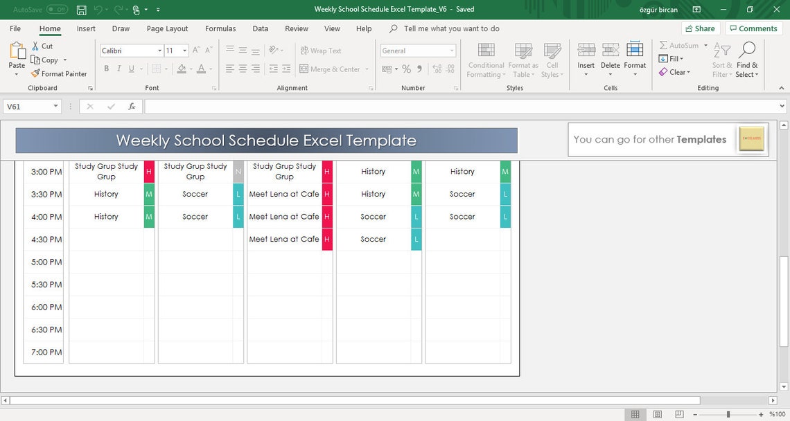 Weekly School Schedule Excel Template Lesson Planner | Etsy