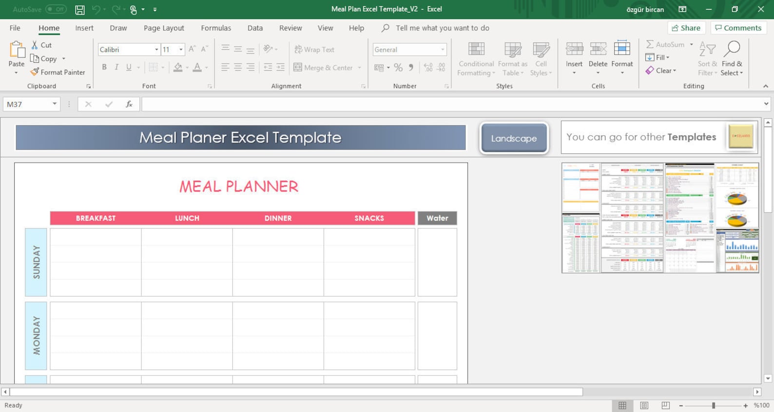 Excel meal planner - railmine