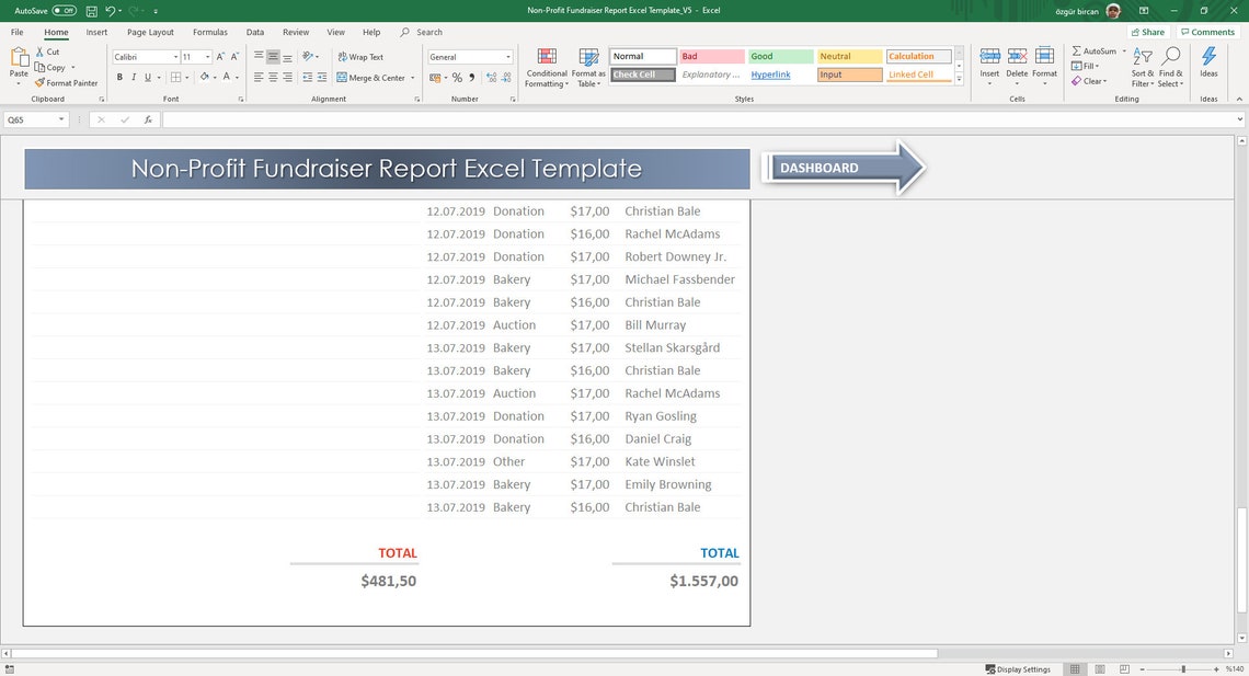Non-profit Fundraiser Report Excel Template Non-profit | Etsy