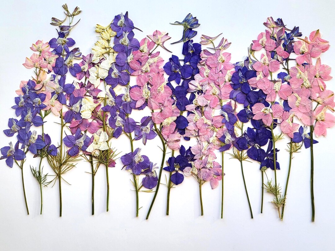 Pressed Dried Flowers for Resin Art, DIY Floral Craft Material for ...