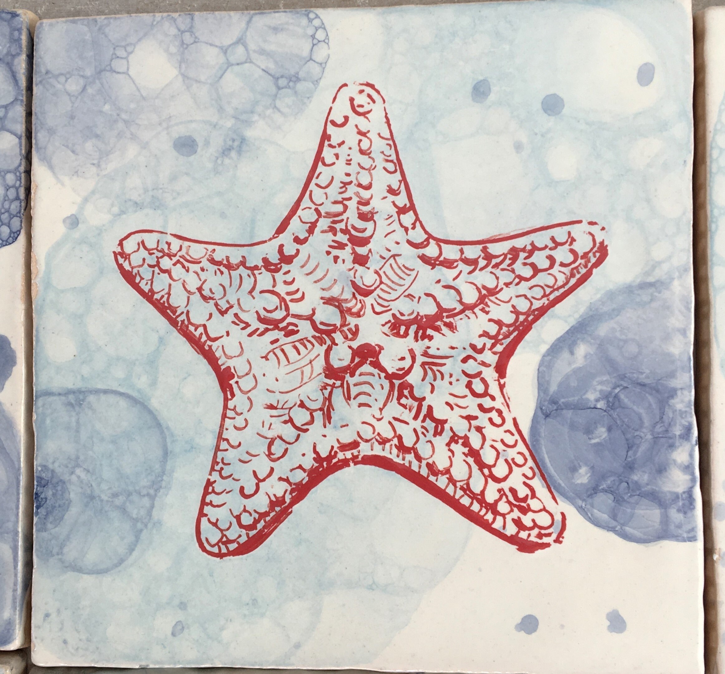 Sea Creatures Set Portuguese Rustic Tiles for Bathroom and Kitchen ...