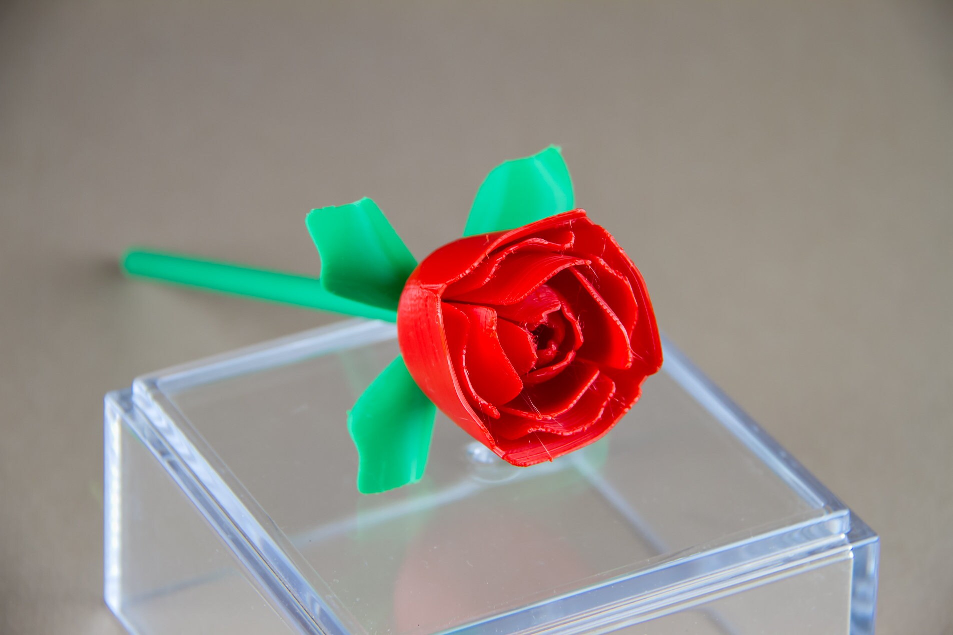 3D Printed Roses - Etsy