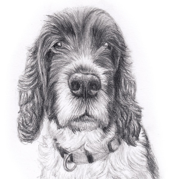 Conure Magnet / Cute Conures / GCC Green Cheek / Green Cheek Conure ...