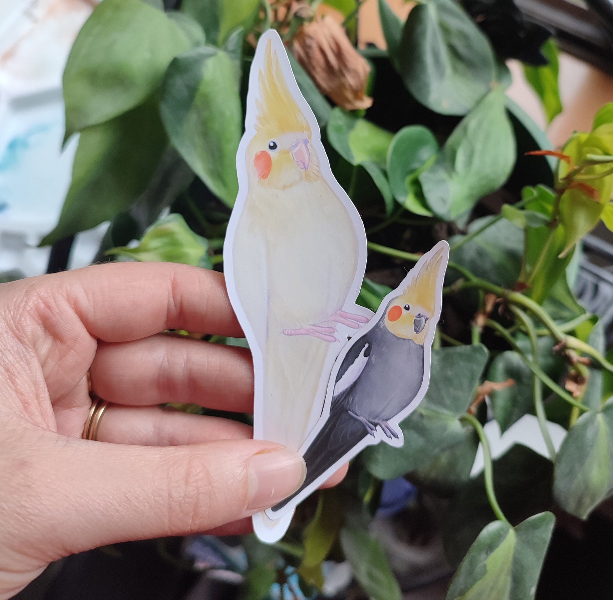Cute Cockatiel Sticker - Etsy