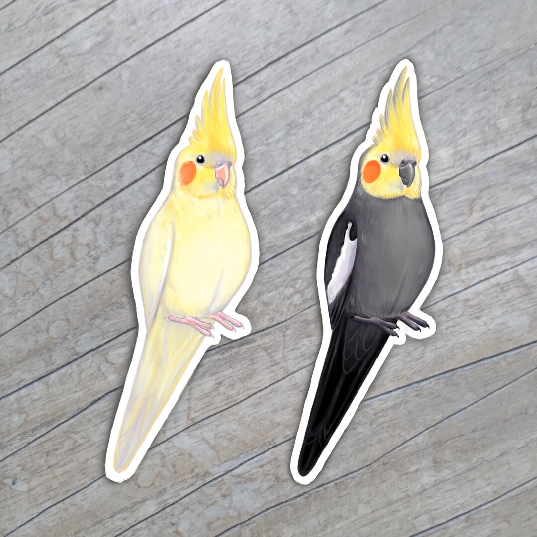 Cute Cockatiel Sticker - Etsy