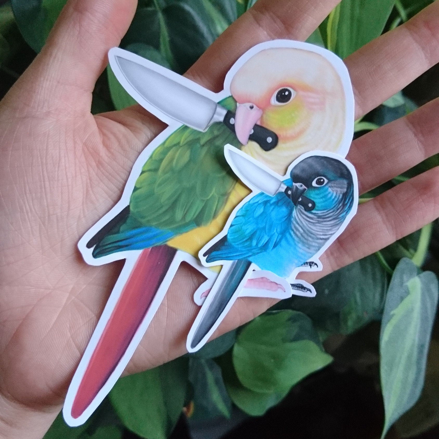 Stabby Conure Stickers / Cute Conures / GCC Green Cheek / Green Cheek ...
