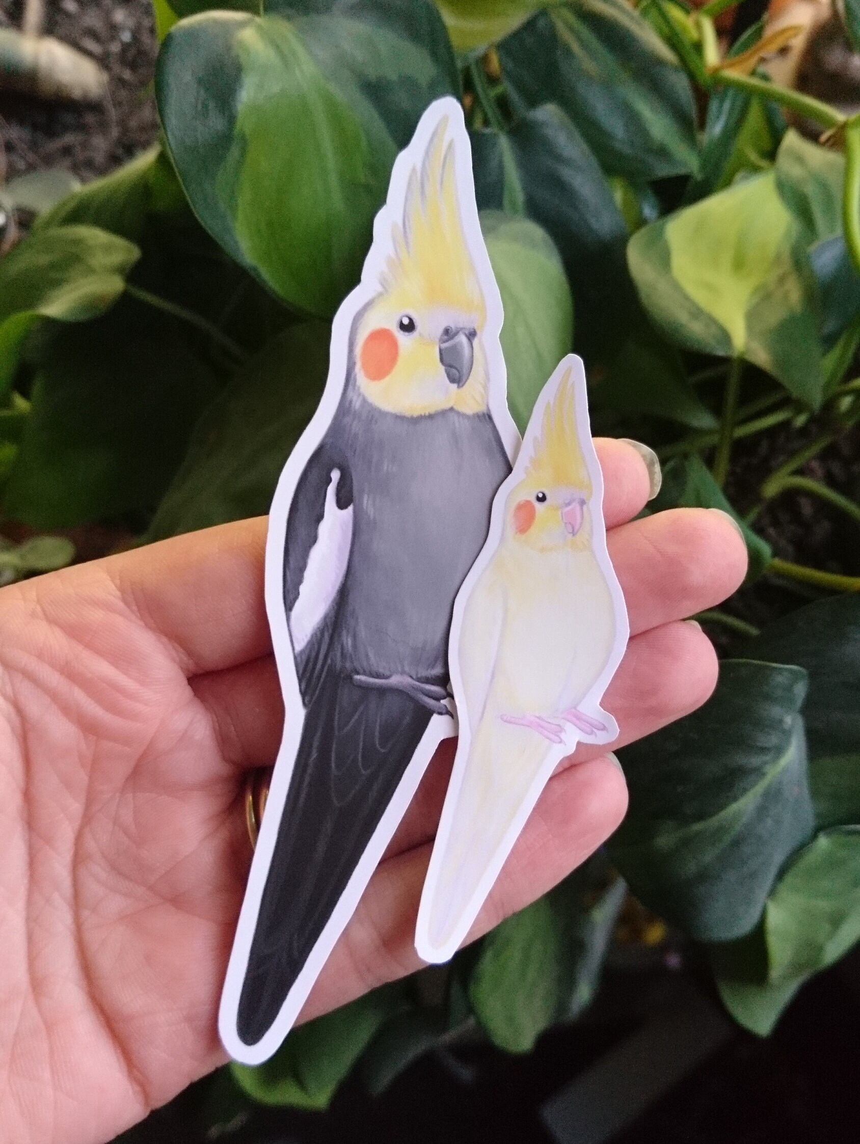 Cute Cockatiel Sticker - Etsy
