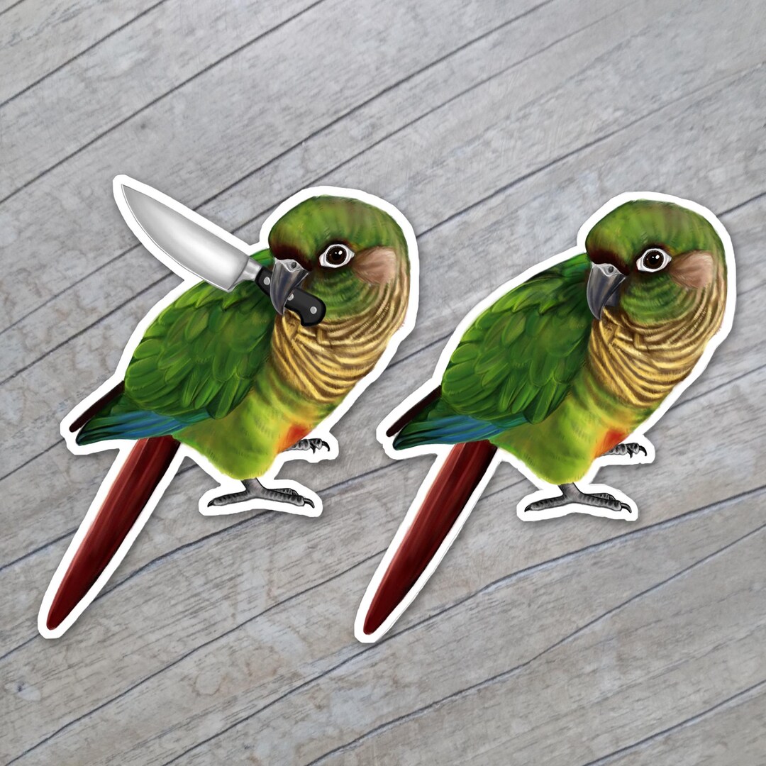 Maroon Bellied Conure Sticker / Cute Conures /GCC Green Cheek / Parrot ...
