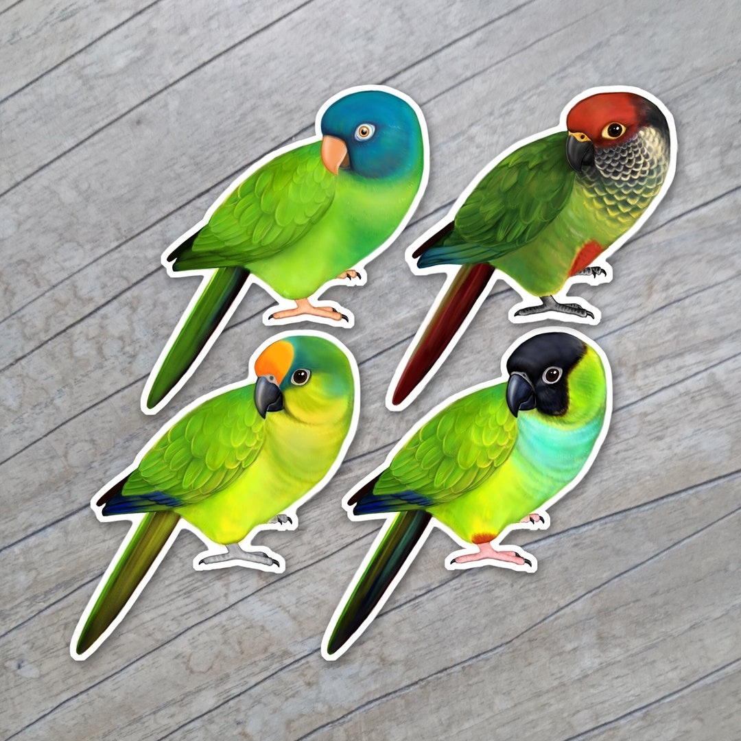 Blue Crowned Conure Sticker / Peach Fronted Conures / Nanday Parrot ...
