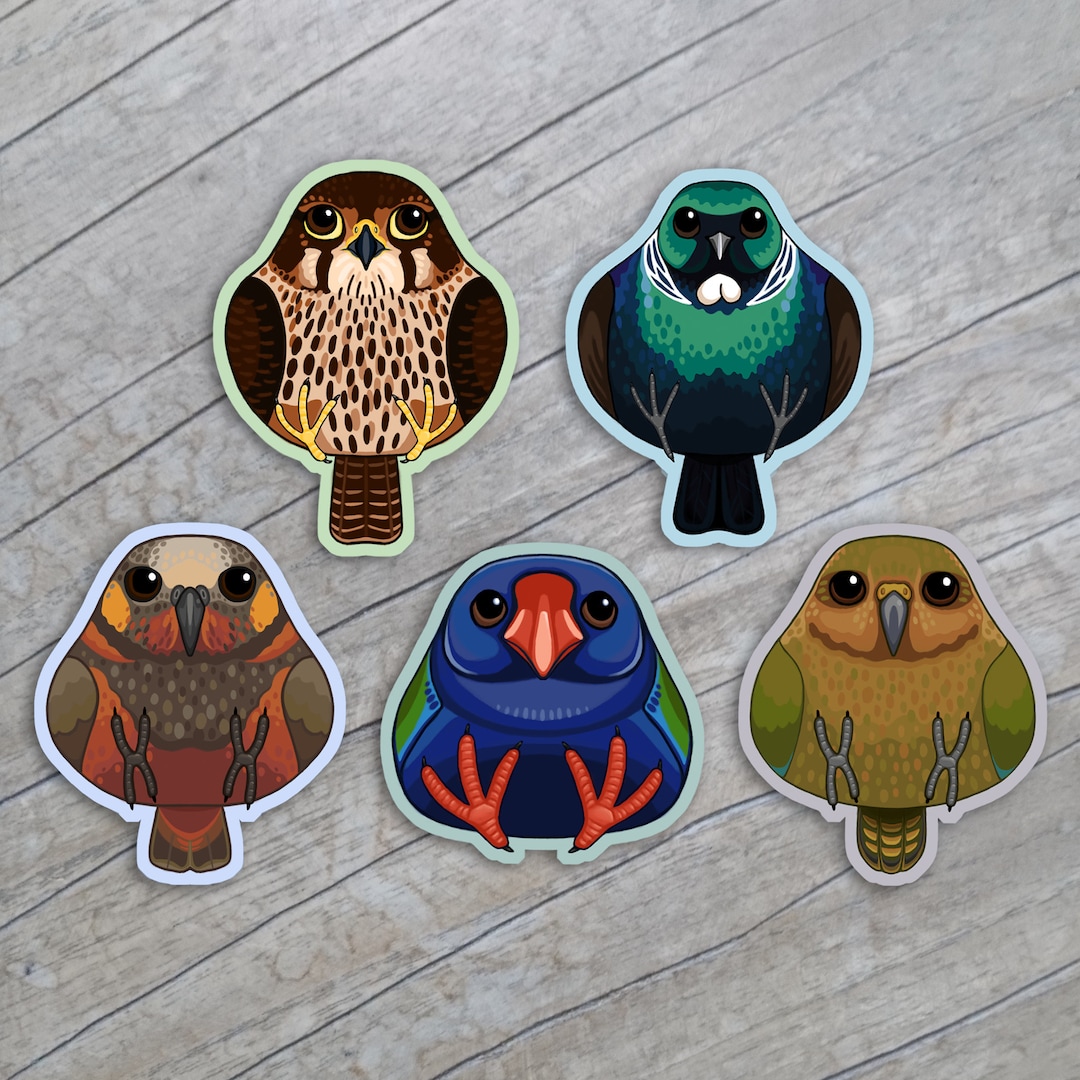 New Zealand Bird Stickers / Tui / Kea / Kaka / NZ Falcon / Takahe - Etsy