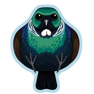 New Zealand Bird Stickers / Tui / Kea / Kaka / NZ Falcon / Takahe - Etsy