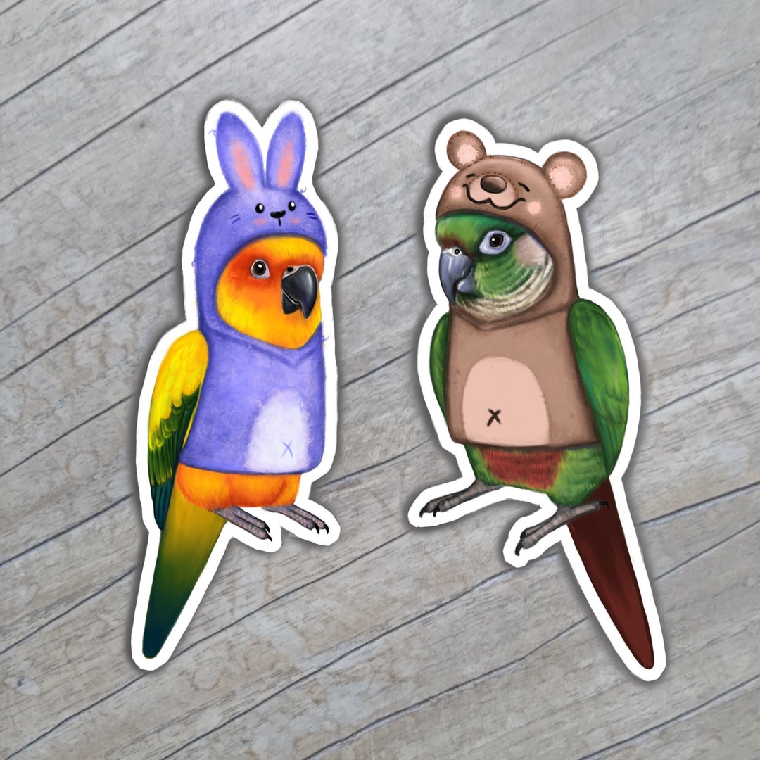 Cute Conure Stickers / Conures Wearing Costumes / Sun Conure / Green ...