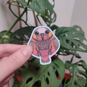 New Zealand Bird Stickers / Tui / Kea / Kaka / NZ Falcon / Takahe - Etsy
