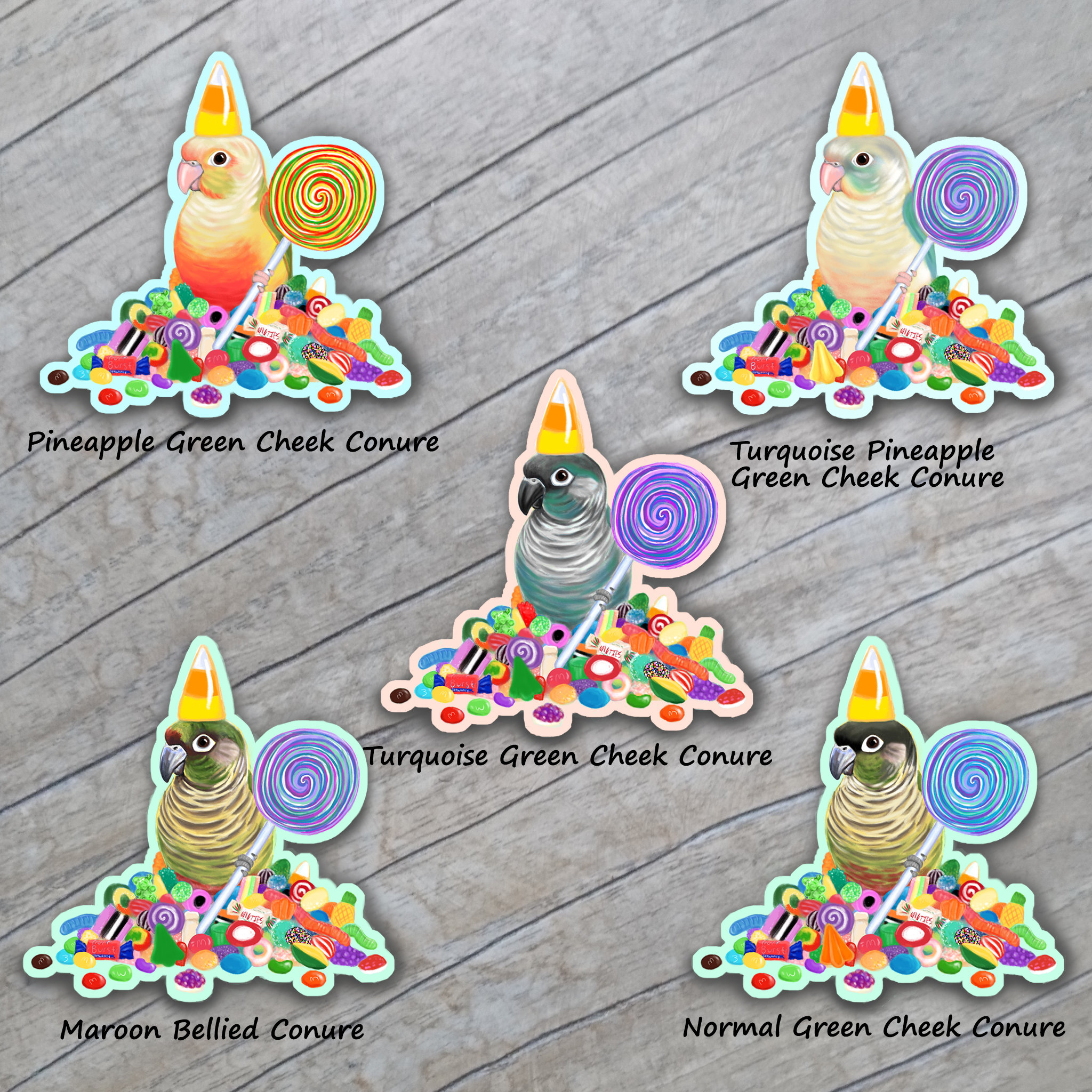 Cute Conure Stickers / Candy Conures / GCC Green Cheek Conure / Maroon ...