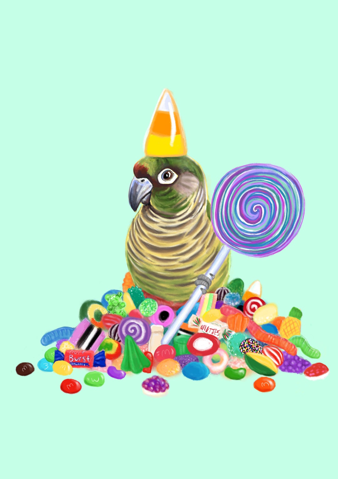 Cute conure art prints / candy conures / GCC green cheek conure ...