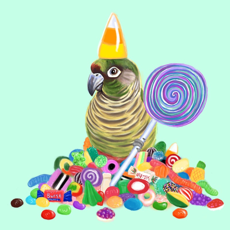 Conure Art - Etsy