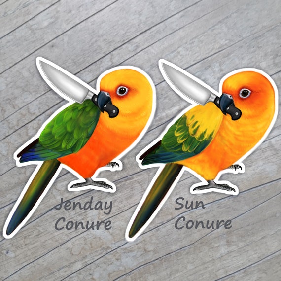 Jenday Conure Vs Sun Conure