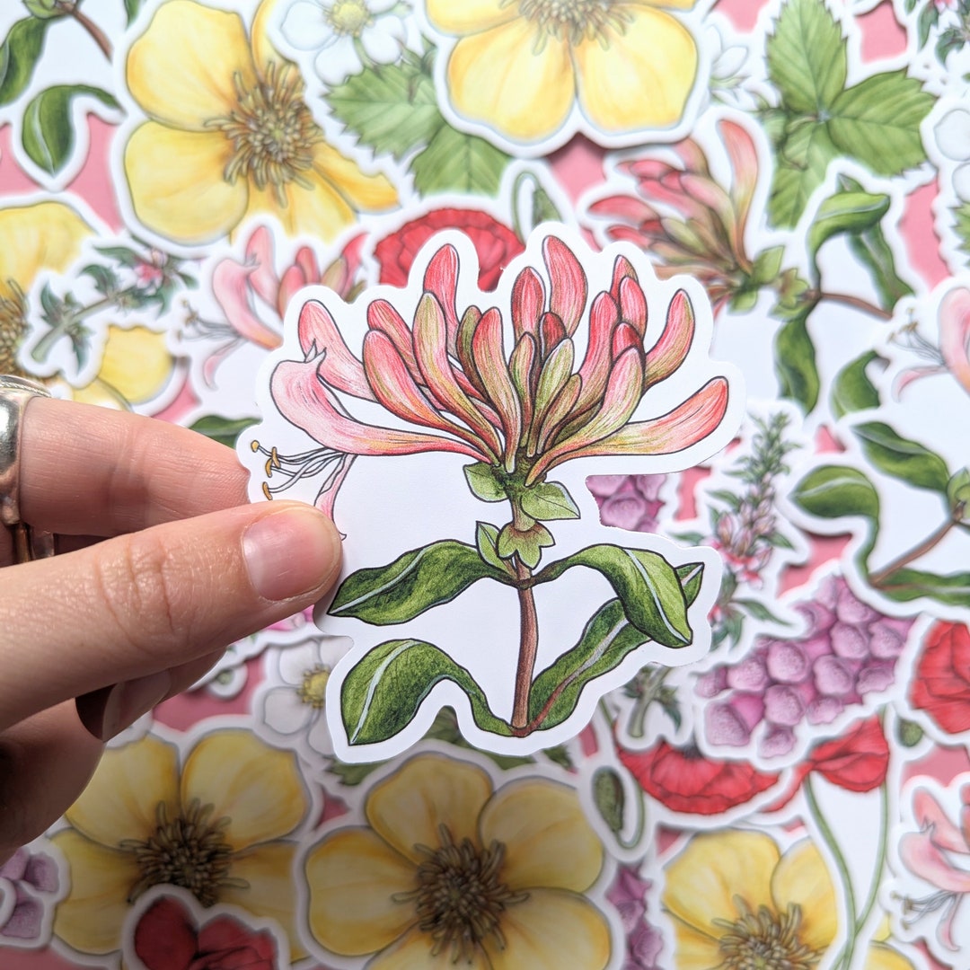 Honeysuckle Sticker - Honey Suckle Flower - Floral Sticker Set ...