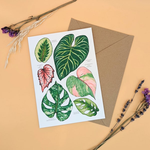 Leaf Greeting Cards - Etsy