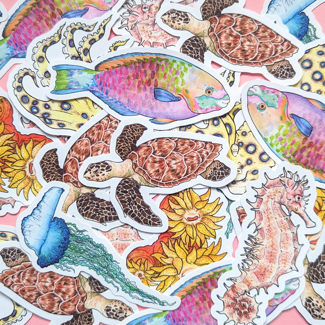 Coral Reef Sticker Set - Great Barrier Reef Pack - Educational Sea Life ...