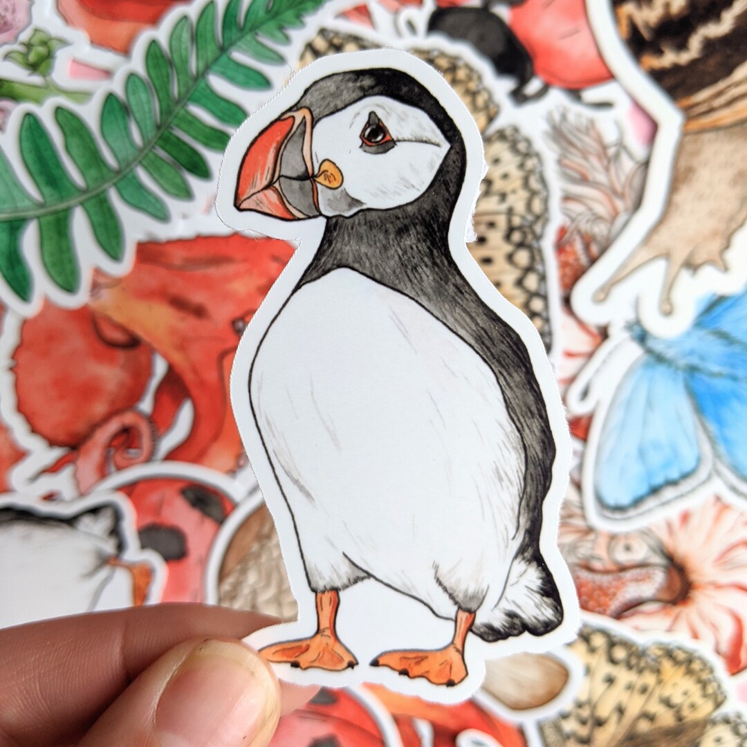 Puffin Vinyl Sticker Atlantic Puffin Laptop Sticker Quirky Decorative ...