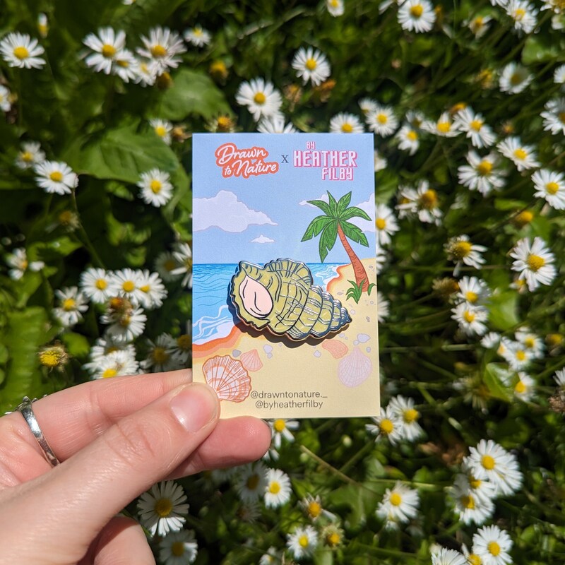 Seashell Pin - Etsy