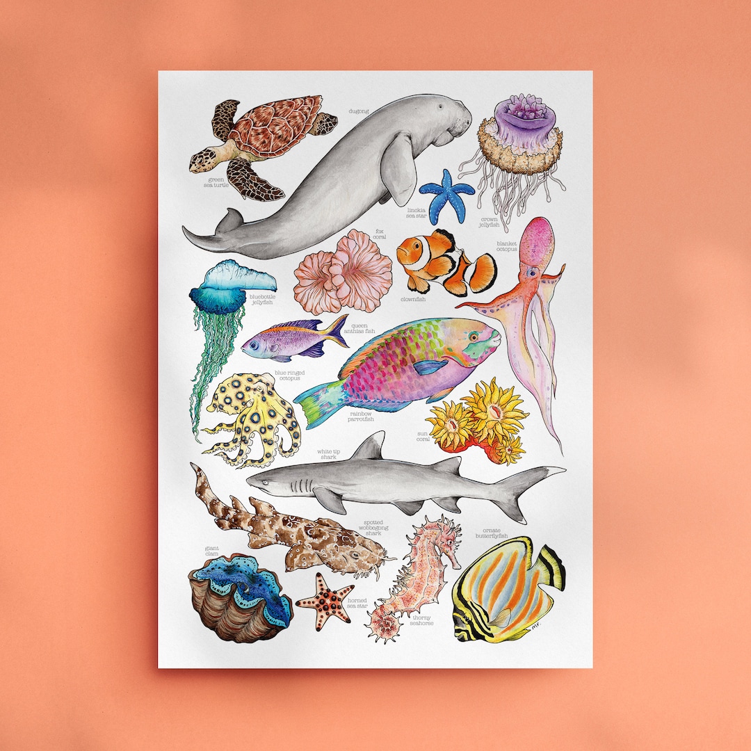 Great Barrier Reef Print - Australia Print - Reef Wall Art - Tropical ...