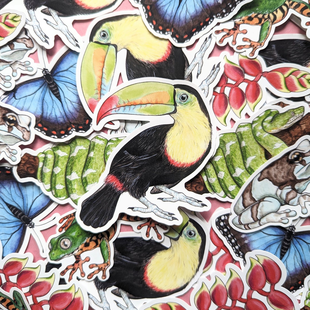 Amazon Rainforest Sticker Set: Watercolor Toucan, Frog, Snake - Etsy