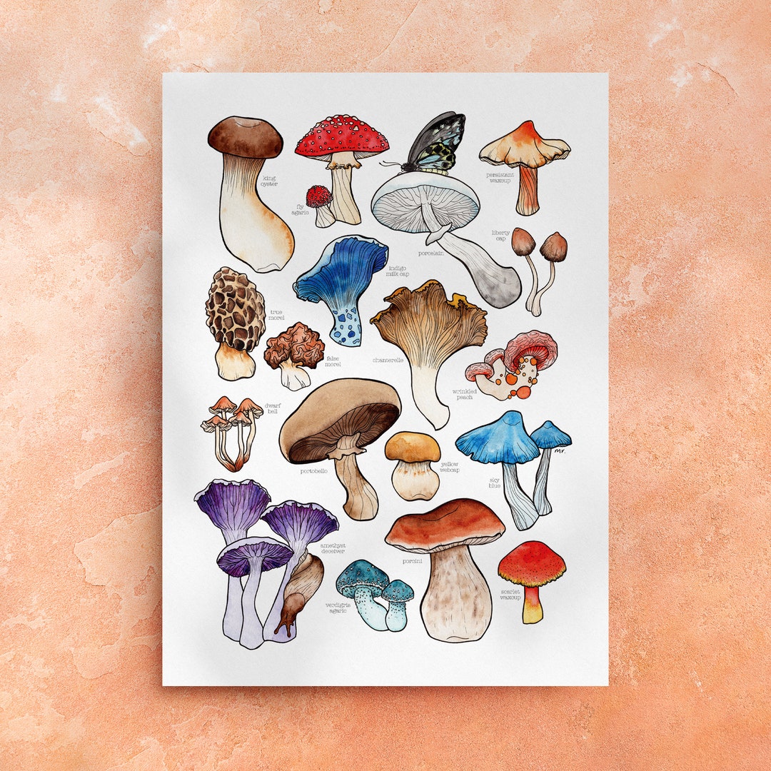 Mushrooms Art Fungi Poster Kitchen Print Home Kitchen Decor Food Poster ...