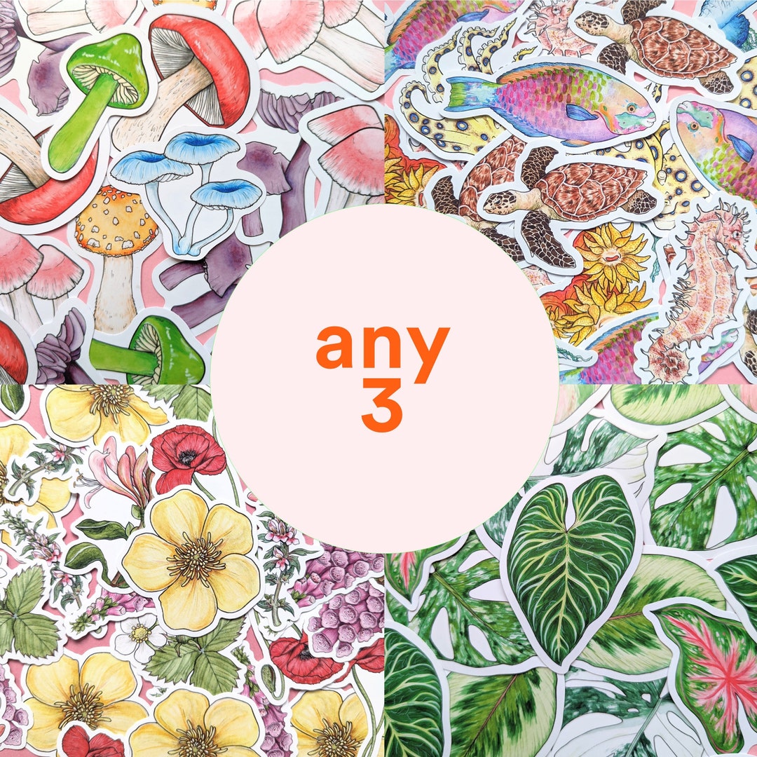 Any 3 Sticker Set - Any 6 Stickers - Nature Sticker Pack - Wildlife ...