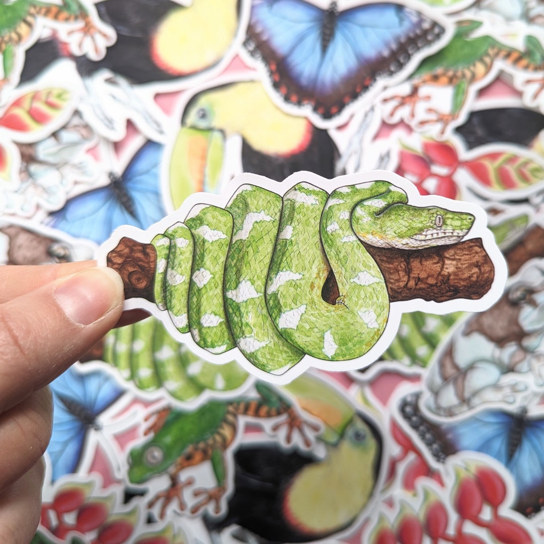 Snake Sticker - Tree Boa Snake Sticker - Emerald Boa Snake - Amazon ...