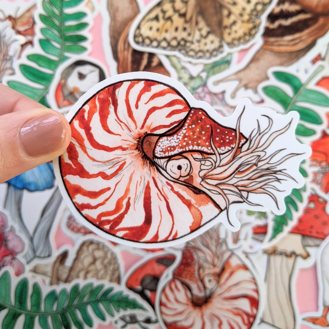 Nautilus Sticker - Cephalopod Laptop Sticker - Sea Creature - Quirky ...