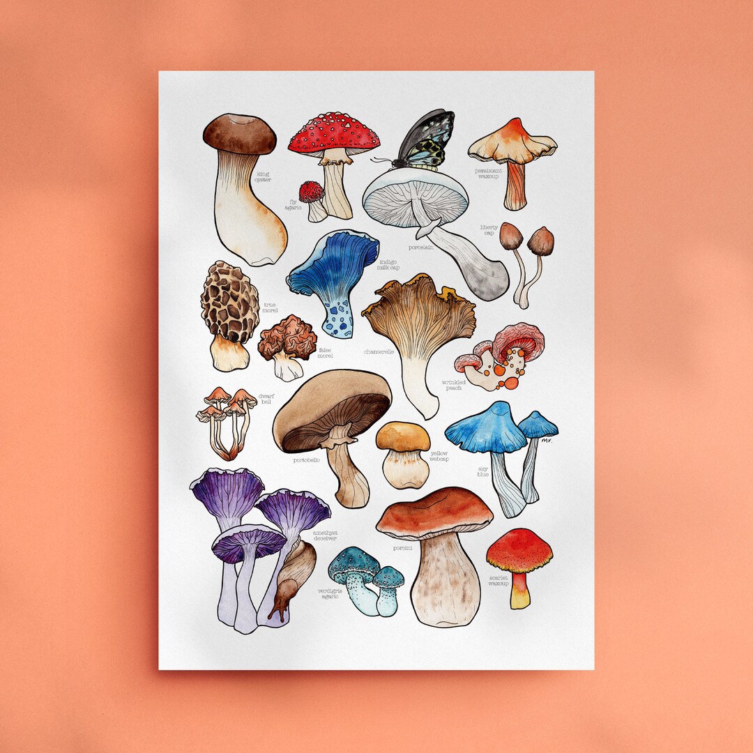 Mushrooms Art Fungi Poster Kitchen Print Home Kitchen Decor Food Poster ...