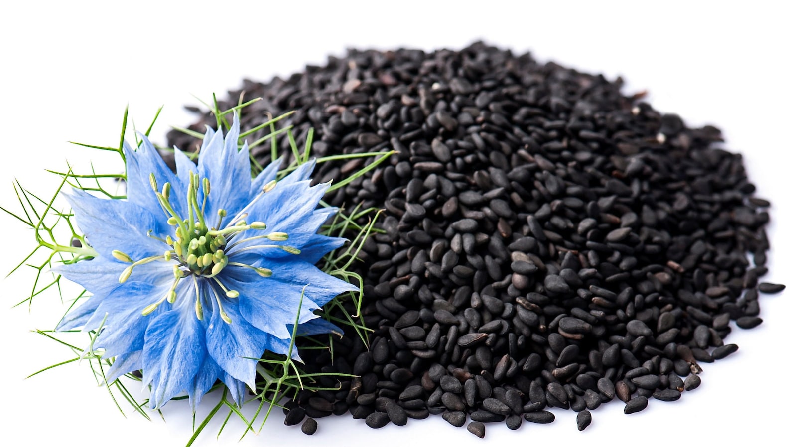 Nigella Sativa Black Cumin Seeds (kalonji) - Etsy