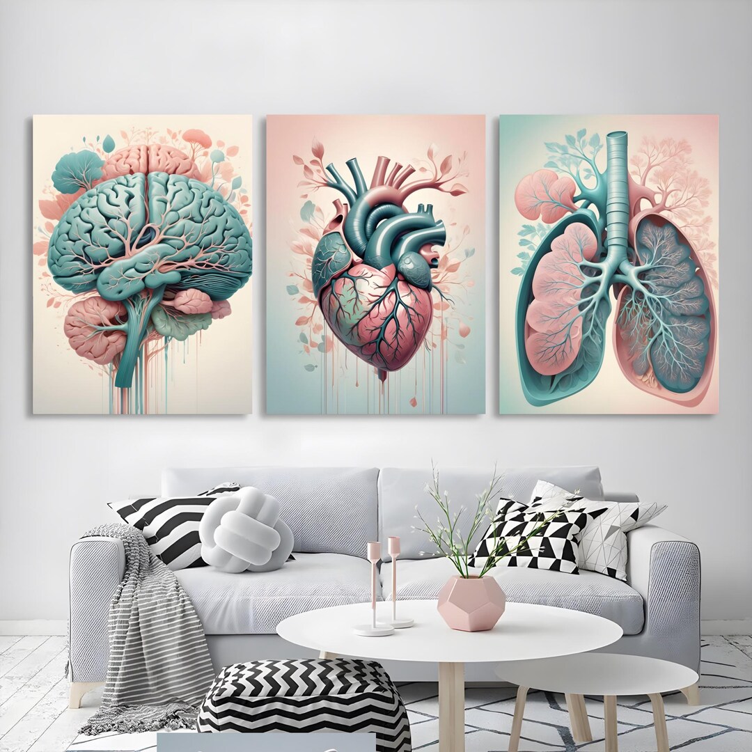 Set of 3 Pastel Anatomy Posters Printable, Brain Heart Lungs Wall Art ...