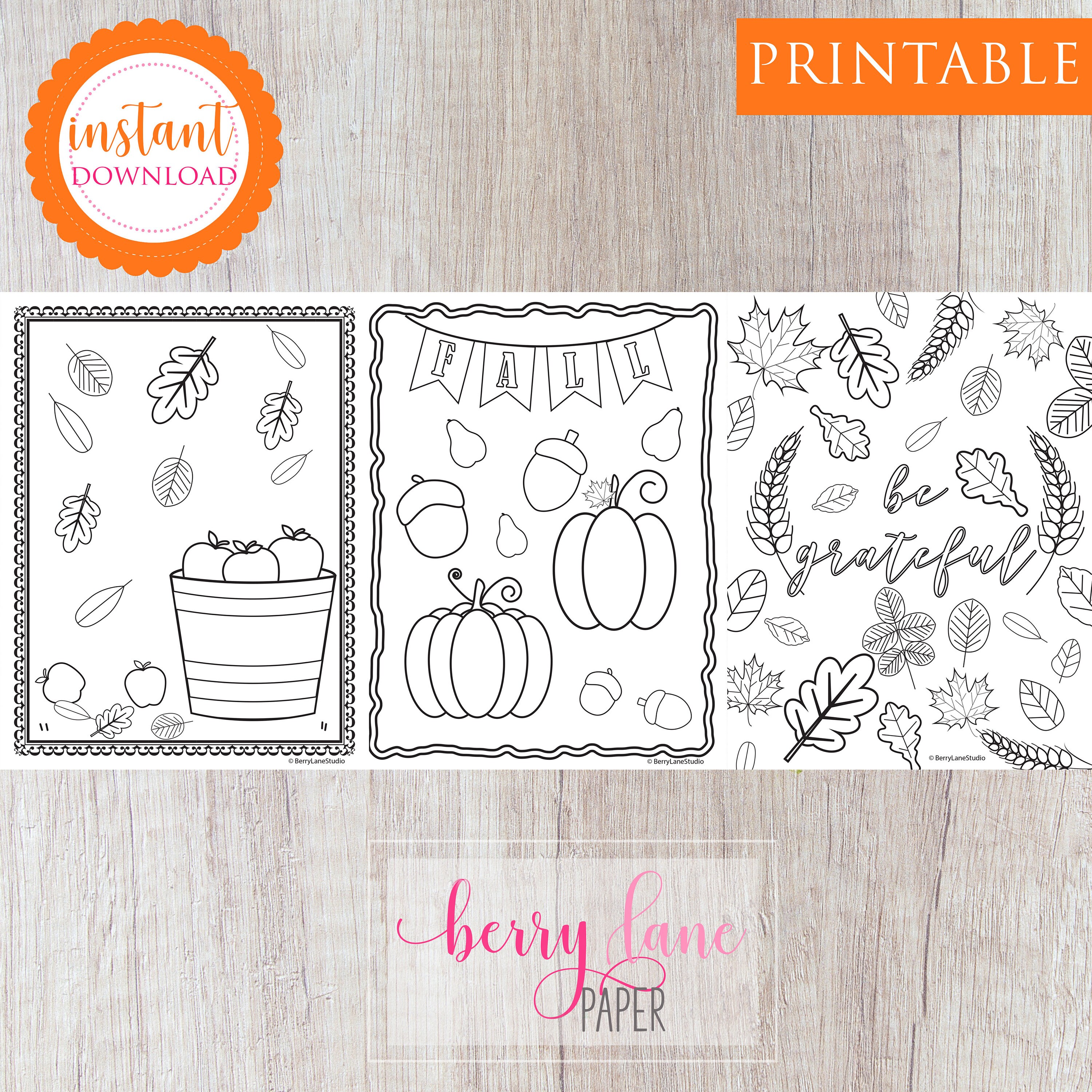 Thanksgiving Coloring Pages, Fall Kids Activities, Instant Download ...