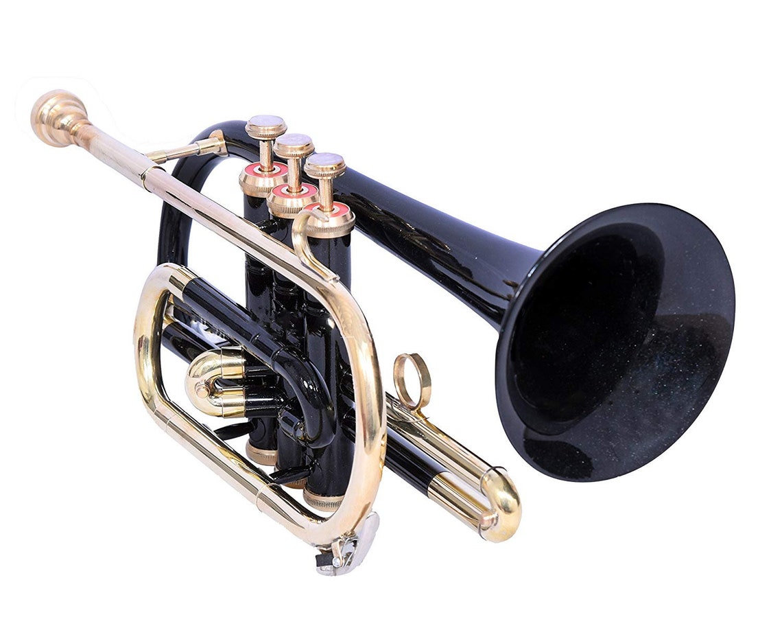Black Colored Cornet Bb Pitch for Sale With Free Hard Case and ...