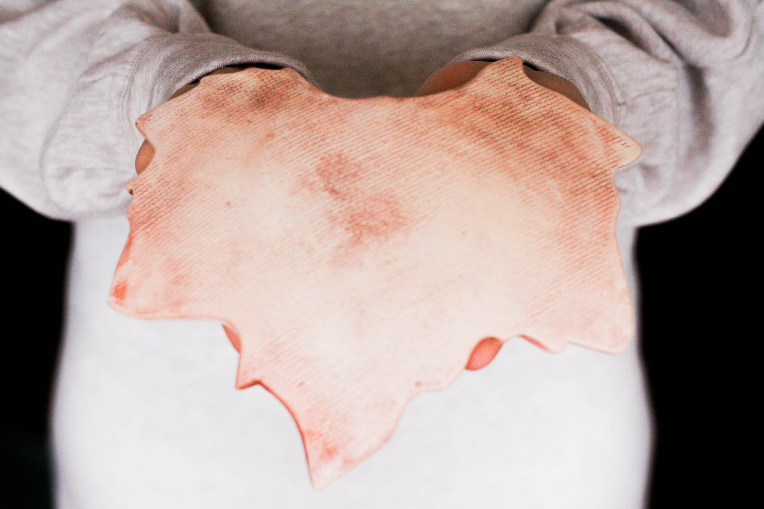 Maple Leaf plate Nature plate Forest plate Pottery plate | Etsy