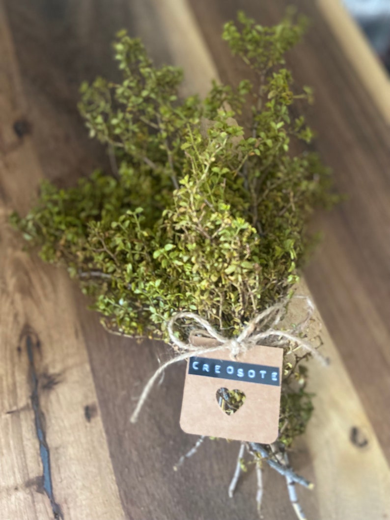 8 Oz Organic Mojave Desert Creosote Bundle – Wild Foraged Chaparral - Etsy