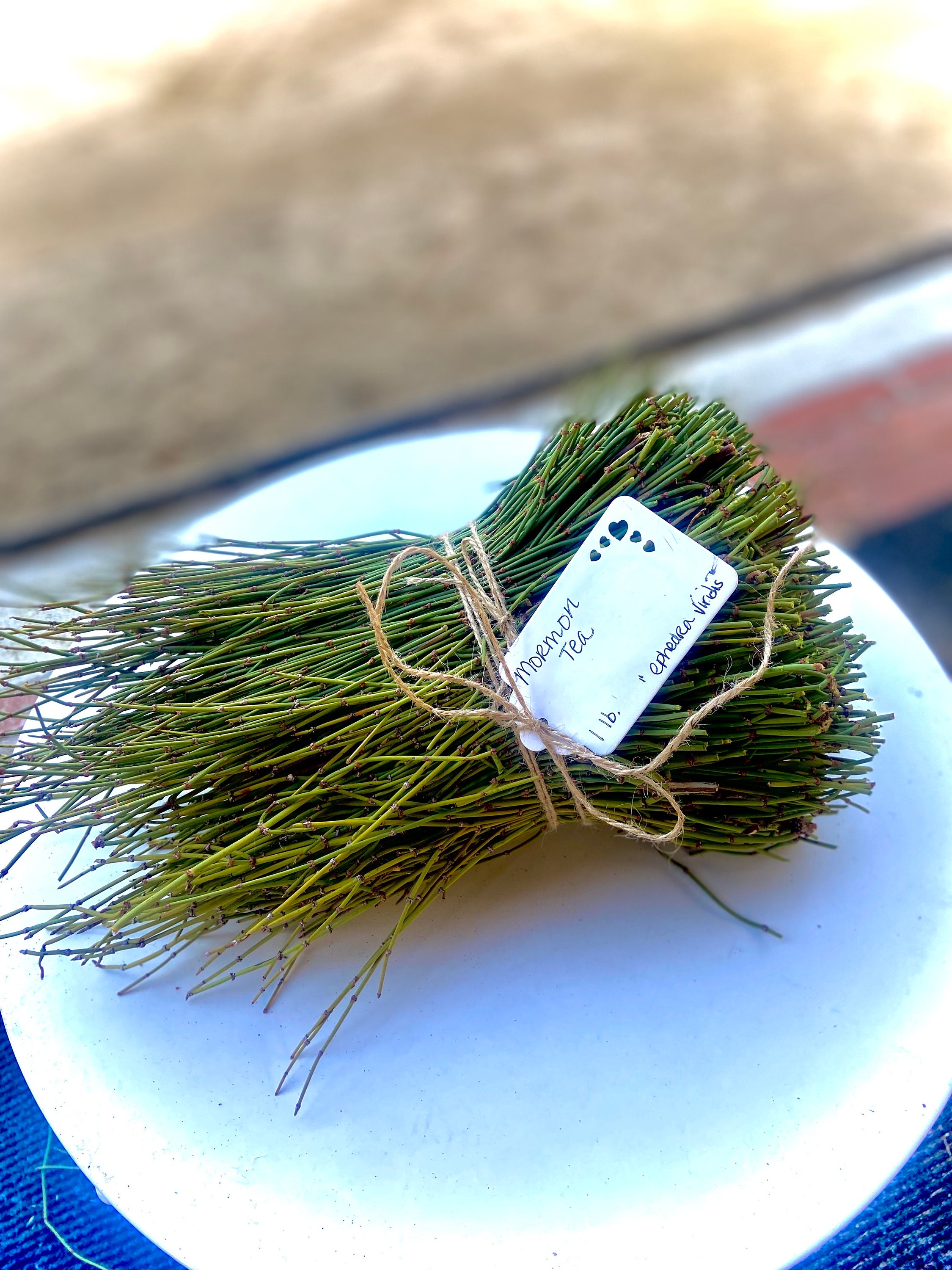 California Mormon Tea brigham Tea, Indian Tea Wild Foraged in the ...