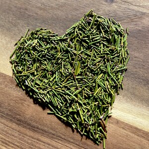 6oz Mormon Tea Bundle brigham Tea indian Tea Wild Foraged in the Mojave ...