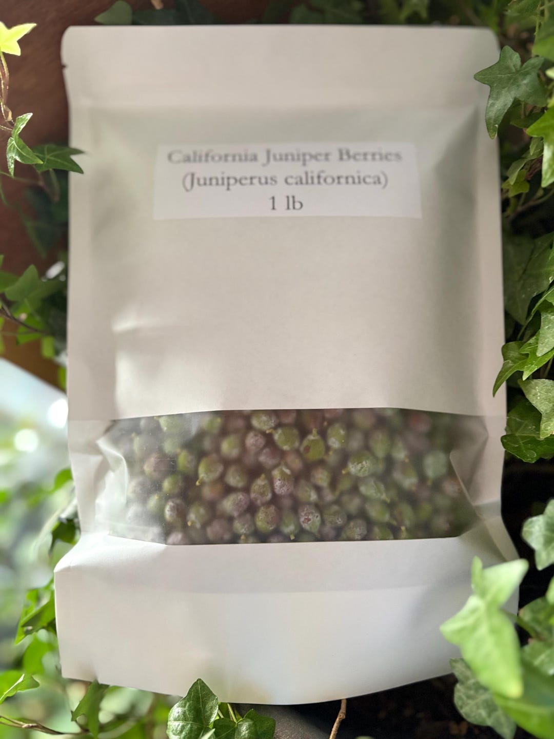 Wild-harvested California Juniper Berries: Fresh, Organic, for Gin ...